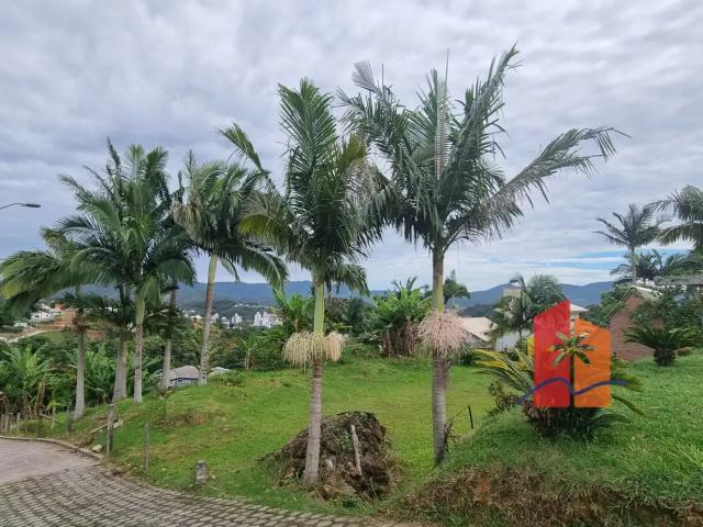 Terreno / Lote para Venda em Santo Amaro da Imperatriz/SC Morro dos Ventura