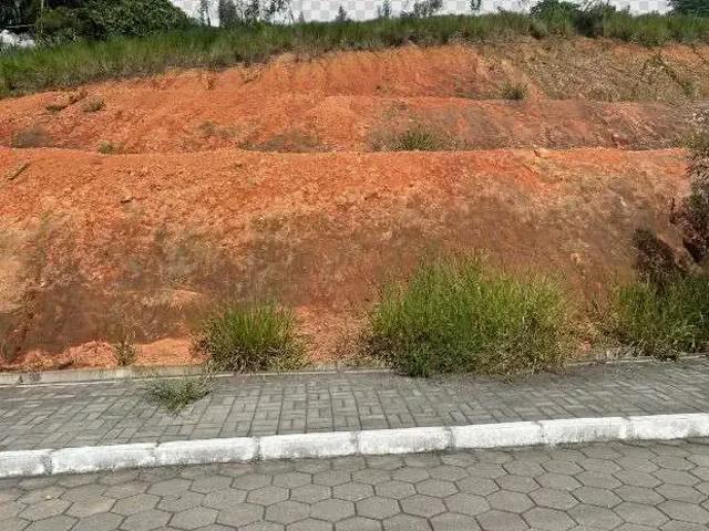 Terreno / Lote para Venda em Santo Amaro da Imperatriz/SC São João