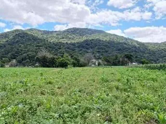 Terreno / Lote para Venda em Santo Amaro da Imperatriz/SC Sul do Rio