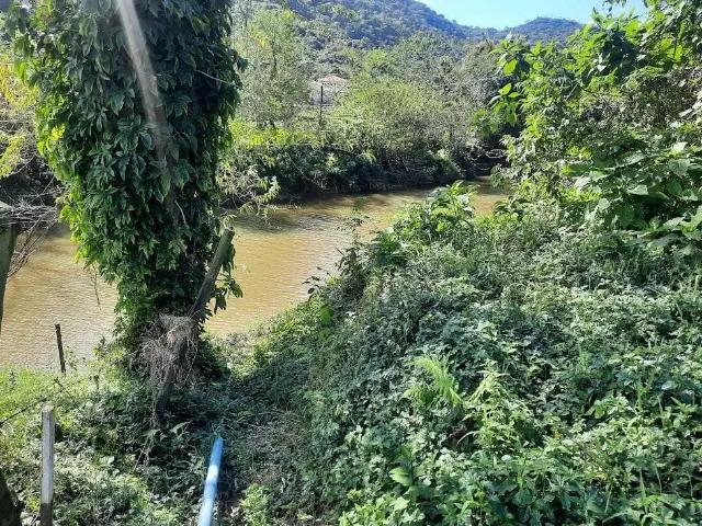 Terreno / Lote para Venda em Santo Amaro da Imperatriz/SC Sul do Rio