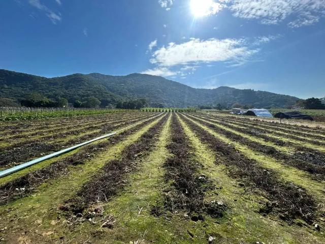 Terreno / Lote para Venda em Santo Amaro da Imperatriz/SC Sul do Rio