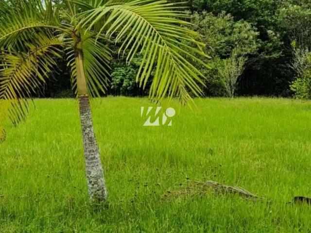 Terreno / Lote para Venda em Santo Amaro da Imperatriz/SC Sul do Rio