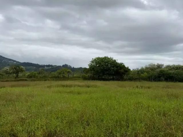 Terreno / Lote para Venda em Santo Amaro da Imperatriz/SC Sul do Rio