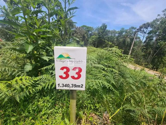 Terreno / Lote para Venda em Santo Amaro da Imperatriz/SC Varginha