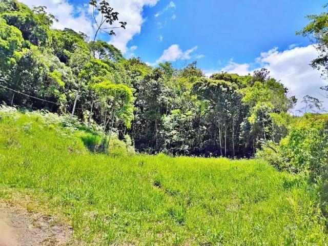 Terreno / Lote para Venda em Santo Amaro da Imperatriz/SC Varginha