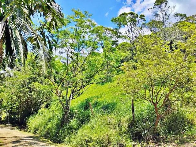 Terreno / Lote para Venda em Santo Amaro da Imperatriz/SC Varginha