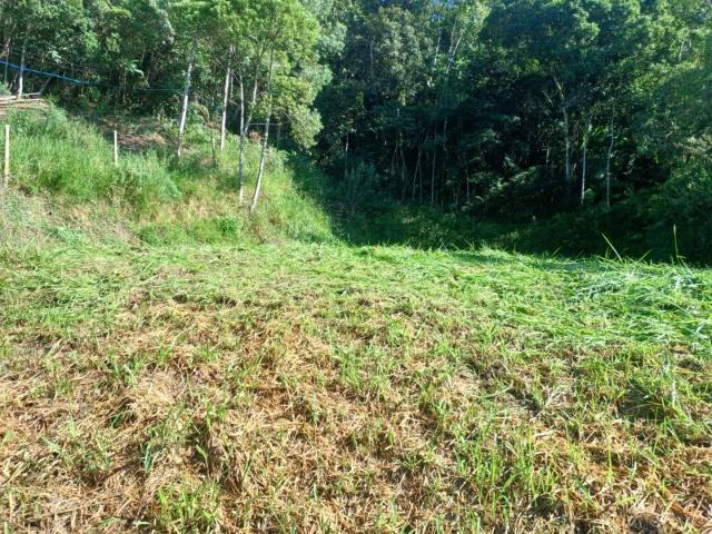Terreno / Lote para Venda em Santo Amaro da Imperatriz/SC Varginha