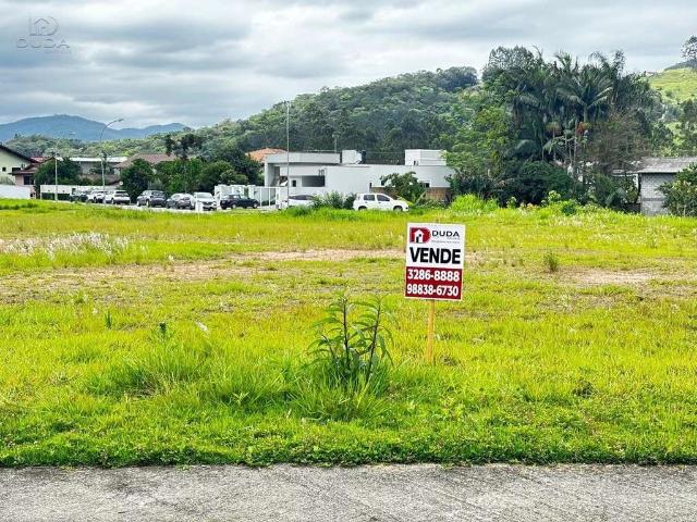 Terreno / Lote para Venda em Santo Amaro da Imperatriz/SC Vila Becker