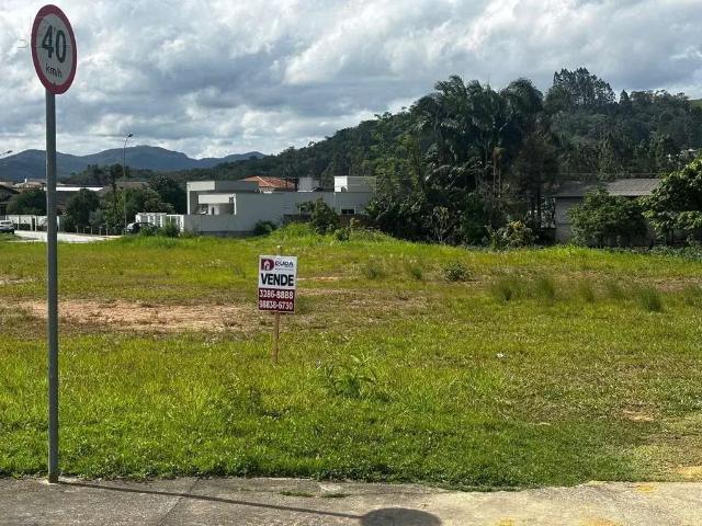 Terreno / Lote para Venda em Santo Amaro da Imperatriz/SC Vila Becker