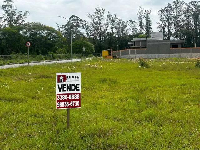 Terreno / Lote para Venda em Santo Amaro da Imperatriz/SC Vila Becker