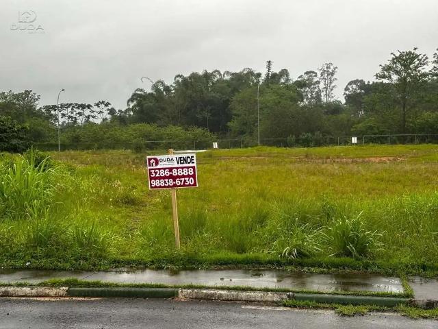 Terreno / Lote para Venda em Santo Amaro da Imperatriz/SC Vila Becker