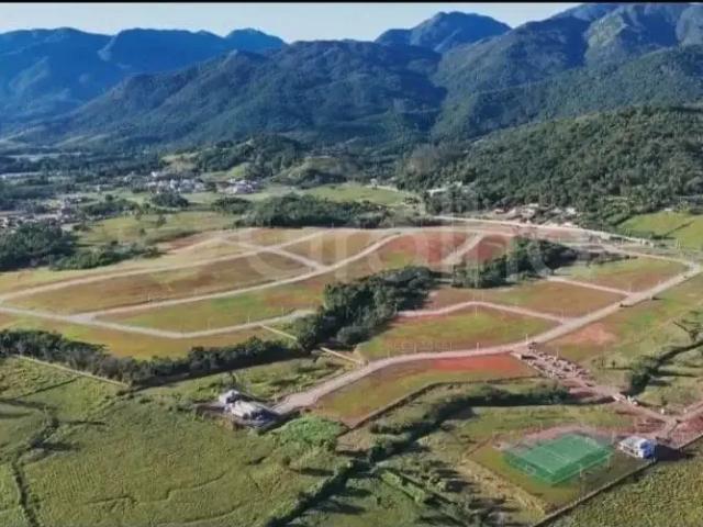 Terreno / Lote para Venda em Santo Amaro da Imperatriz/SC Vila Santana