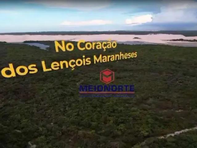 Terreno / Lote para Venda em Santo Amaro do Maranhão/MA Olho Dágua