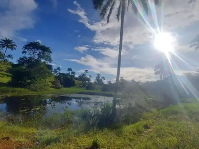 Terreno / Lote para Venda em Santo Amaro/BA Centro