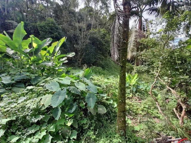 Terreno / Lote para Venda em Santo André/SP Jardim Clube de Campo