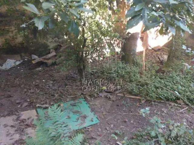 Terreno / Lote para Venda em Santo André/SP Jardim Santo André
