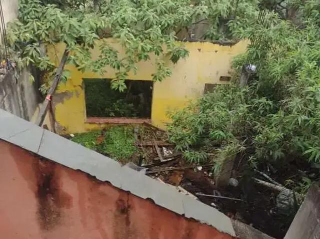 Terreno / Lote para Venda em Santo André/SP Jardim Stella