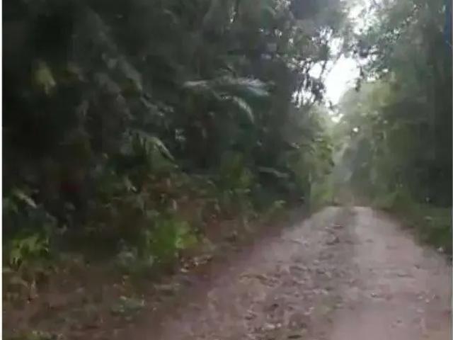 Terreno / Lote para Venda em Santo André/SP Parque Andreense