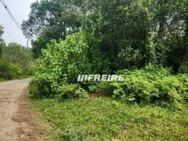 Terreno / Lote para Venda em Santo André/SP Parque das Garças
