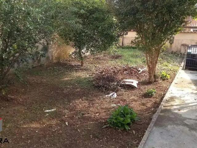 Terreno / Lote para Venda em Santo André/SP Parque Erasmo Assunção