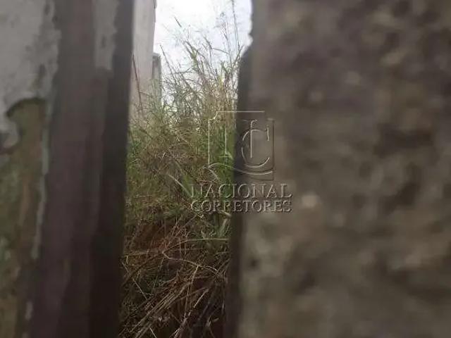 Terreno / Lote para Venda em Santo André/SP Parque Novo Oratório