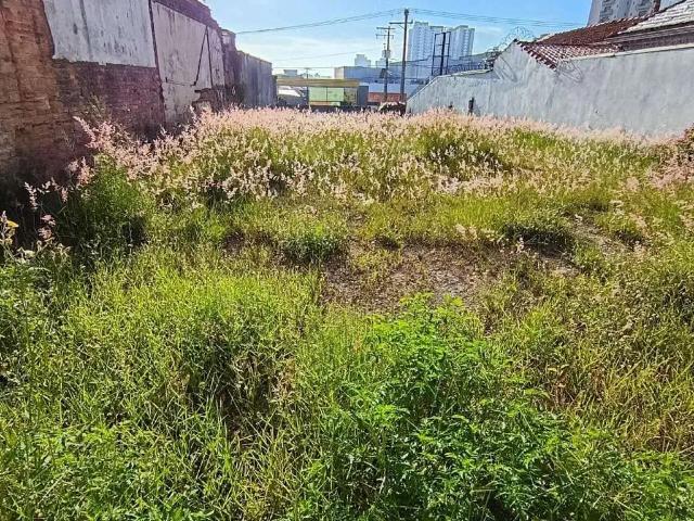 Terreno / Lote para Venda em Santo André/SP Vila Alzira