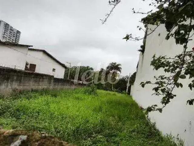 Terreno / Lote para Venda em Santo André/SP Vila Assunção
