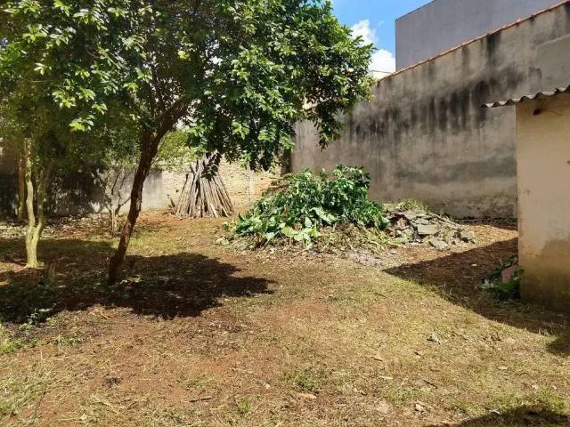 Terreno / Lote para Venda em Santo André/SP Vila Assunção