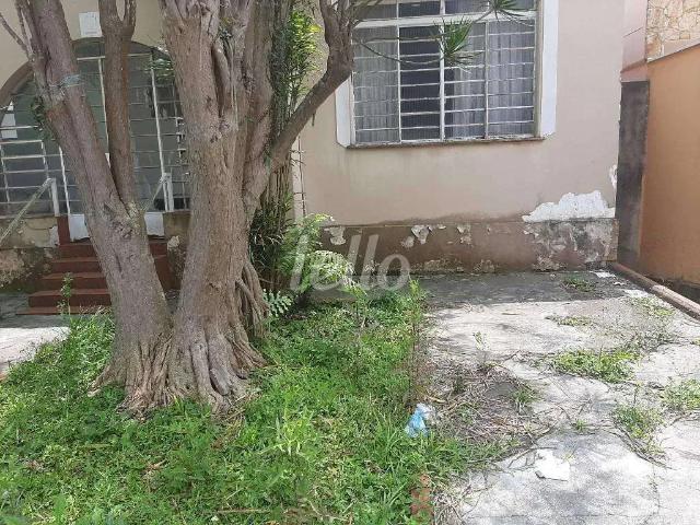 Terreno / Lote para Venda em Santo André/SP Vila Assunção