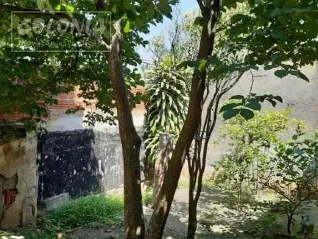 Terreno / Lote para Venda em Santo André/SP Vila Eldízia