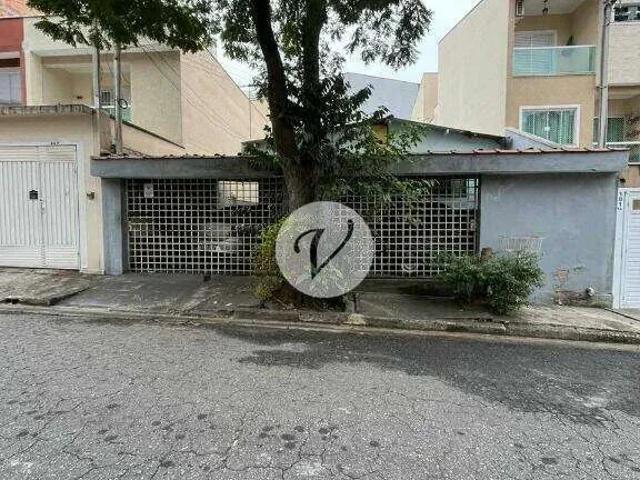 Terreno / Lote para Venda em Santo André/SP Vila Floresta