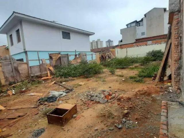 Terreno / Lote para Venda em Santo André/SP Vila Floresta