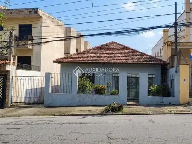 Terreno / Lote para Venda em Santo André/SP Vila Helena