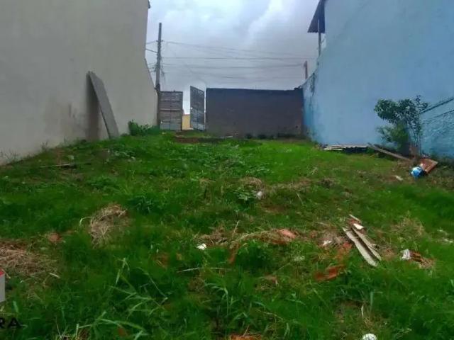 Terreno / Lote para Venda em Santo André/SP Vila Lucinda