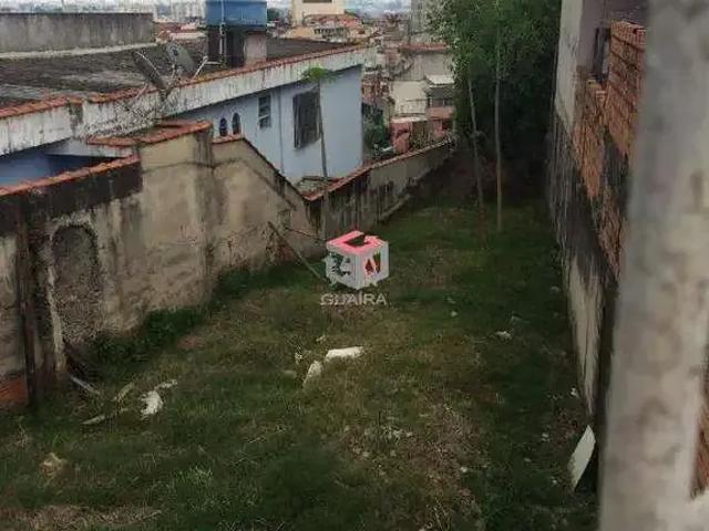 Terreno / Lote para Venda em Santo André/SP Vila Palmares