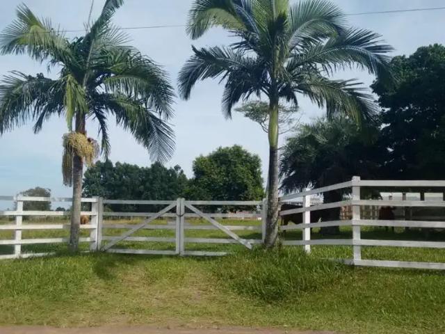 Terreno / Lote para Venda em Santo Antônio da Patrulha/RS Costa do Miraguaia