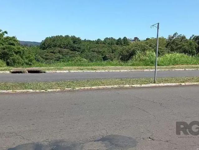 Terreno / Lote para Venda em Santo Antônio da Patrulha/RS Cidade Alta