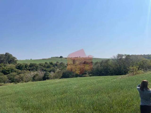 Terreno / Lote para Venda em Santo Antônio da Platina/PR Centro