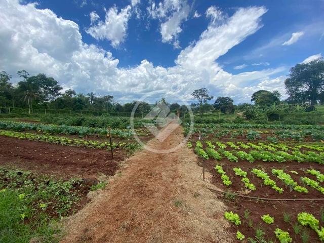 Terreno / Lote para Venda em Santo Antônio de Goiás/GO Estância do Bosque