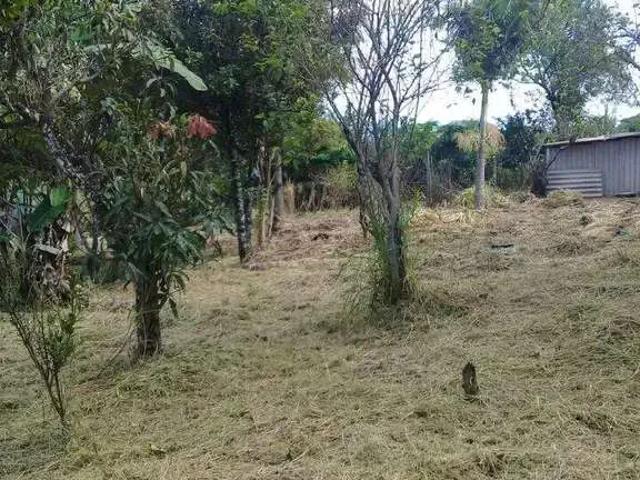 Terreno / Lote para Venda em Santo Antônio Do Leite/MG Gouveia