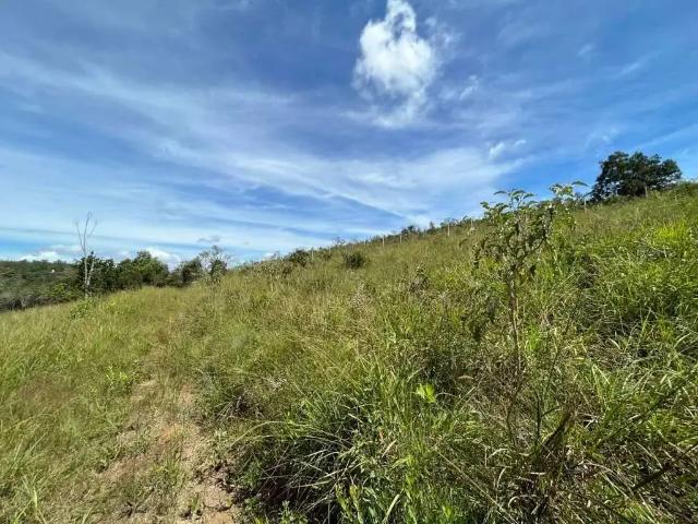 Terreno / Lote para Venda em Santo Antônio Do Leite/MG Gouveia