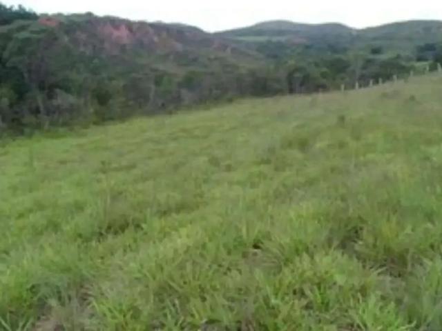 Terreno / Lote para Venda em Santo Antônio Do Leite/MG Gouveia