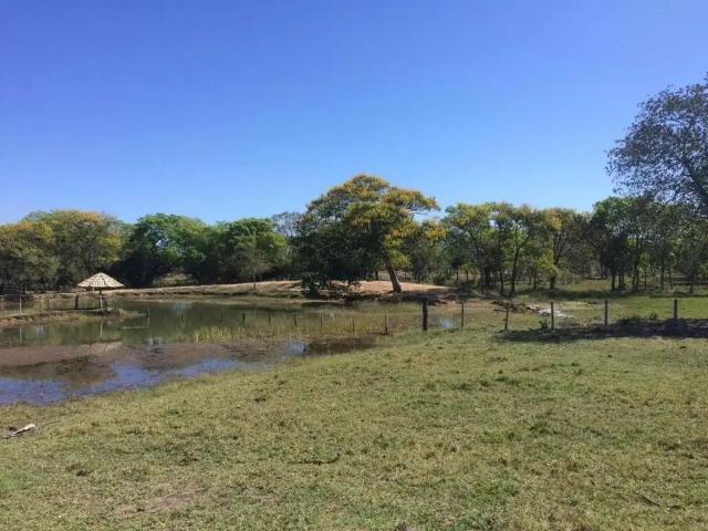 Terreno / Lote para Venda em Santo Antônio do Leverger/MT Zona Rural 3 Quartos