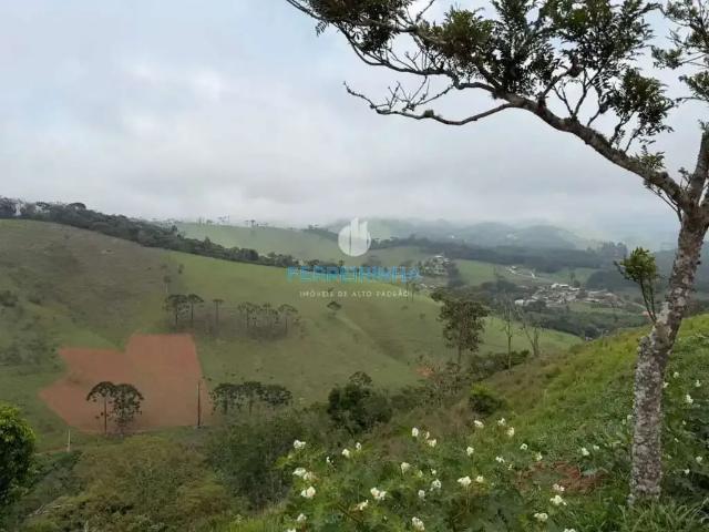 Terreno / Lote para Venda em Santo Antônio do Pinhal/SP Centro