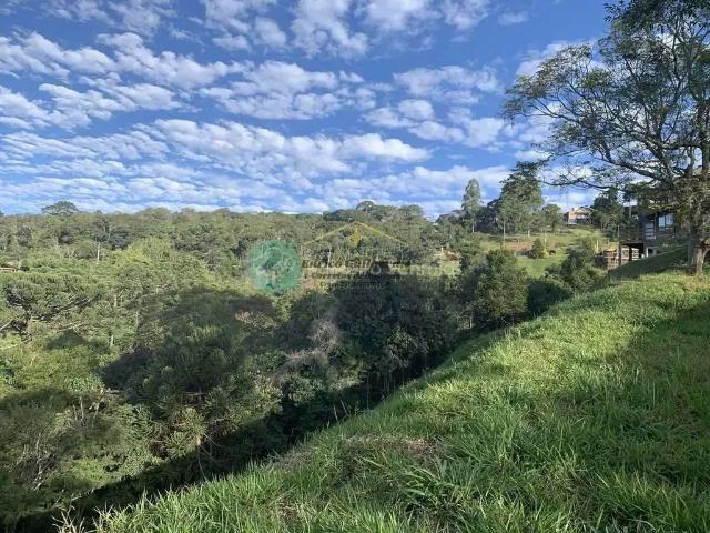Terreno / Lote para Venda em Santo Antônio do Pinhal/SP Centro