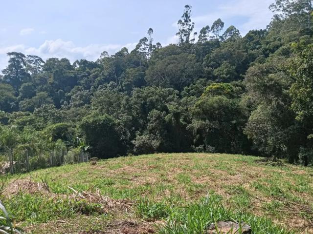 Terreno / Lote para Venda em Santo Antônio do Pinhal/SP Centro