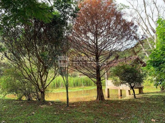 Terreno / Lote para Venda em Santo Antônio do Pinhal/SP Centro