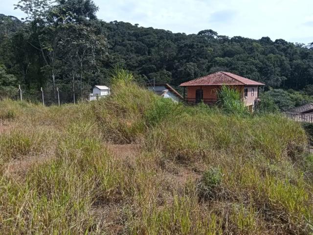 Terreno / Lote para Venda em Santo Antônio do Pinhal/SP Centro