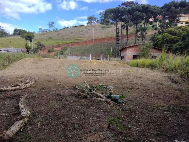 Terreno / Lote para Venda em Santo Antônio do Pinhal/SP Centro
