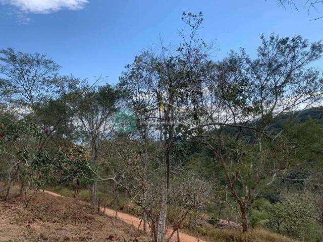 Terreno / Lote para Venda em Santo Antônio do Pinhal/SP Centro